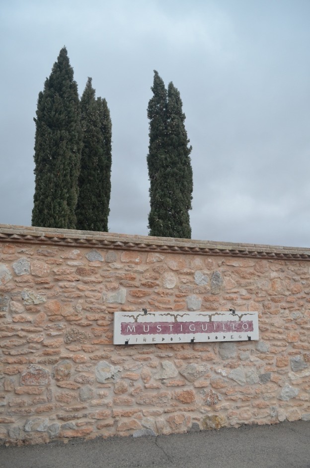 1ª Cata Vertical de Quincha Corral - Vinowine